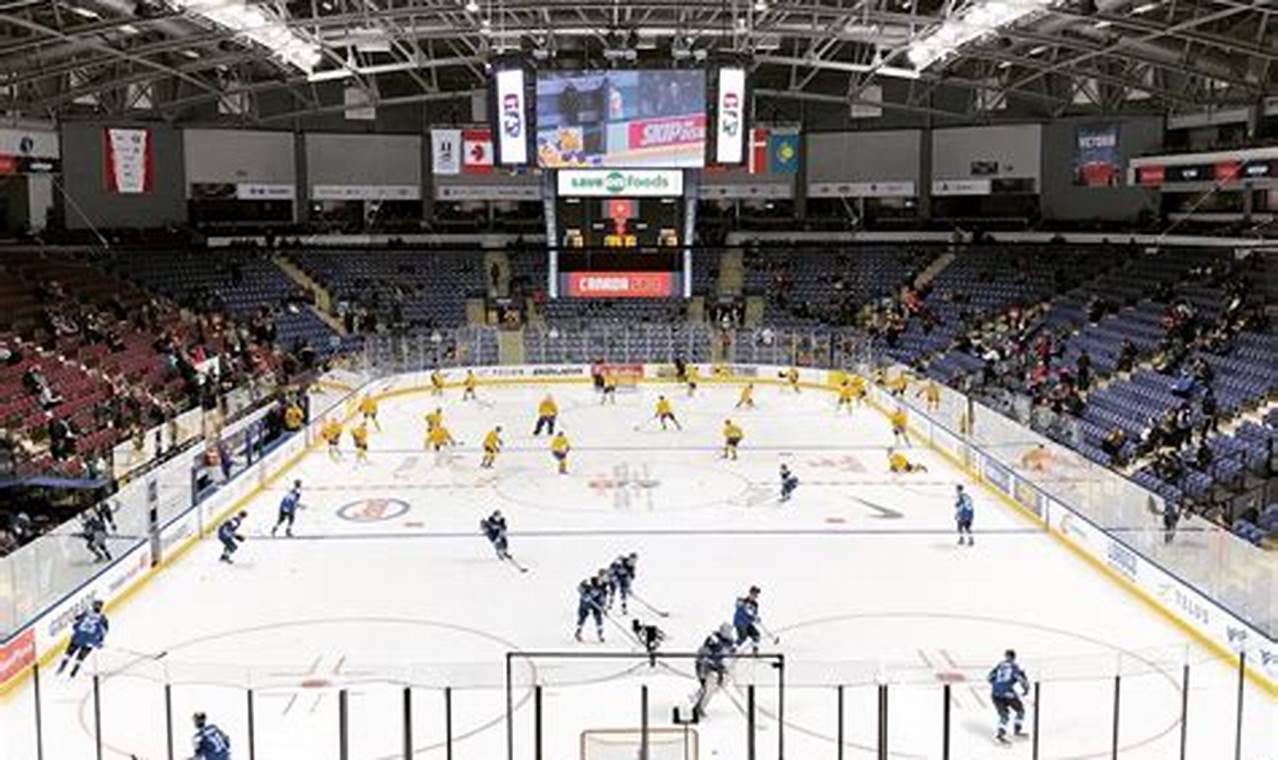Hockey Arenas: How Cold Is It? & Tips to Stay Warm